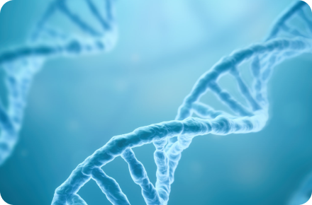 Accro Bioscience(Suzhou)Limited